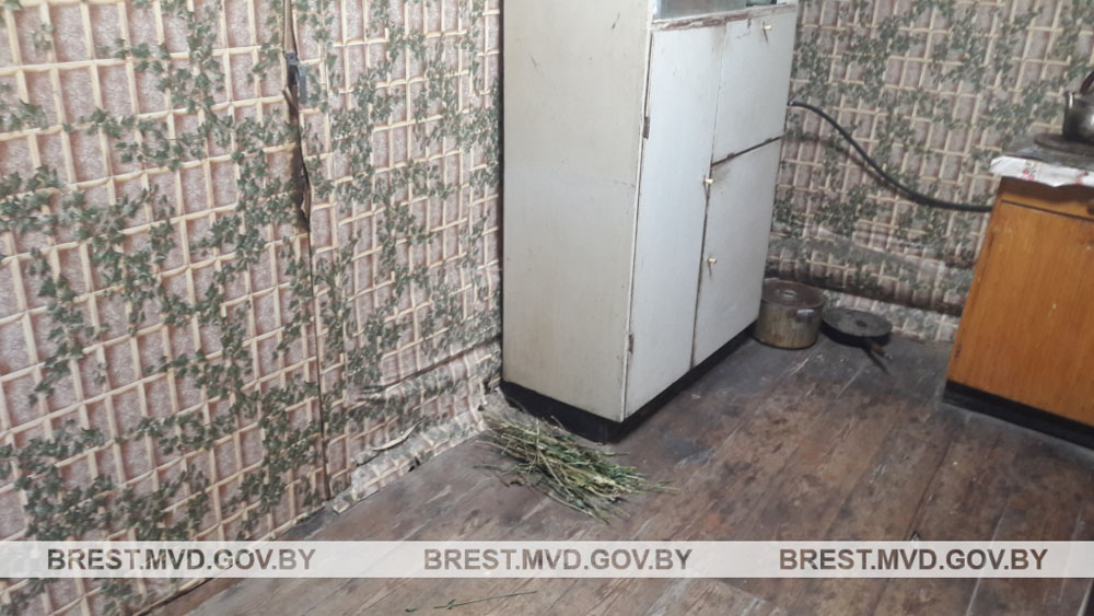"Масло для смазки дверей" оказалось опиумом. Сельчанина задержали